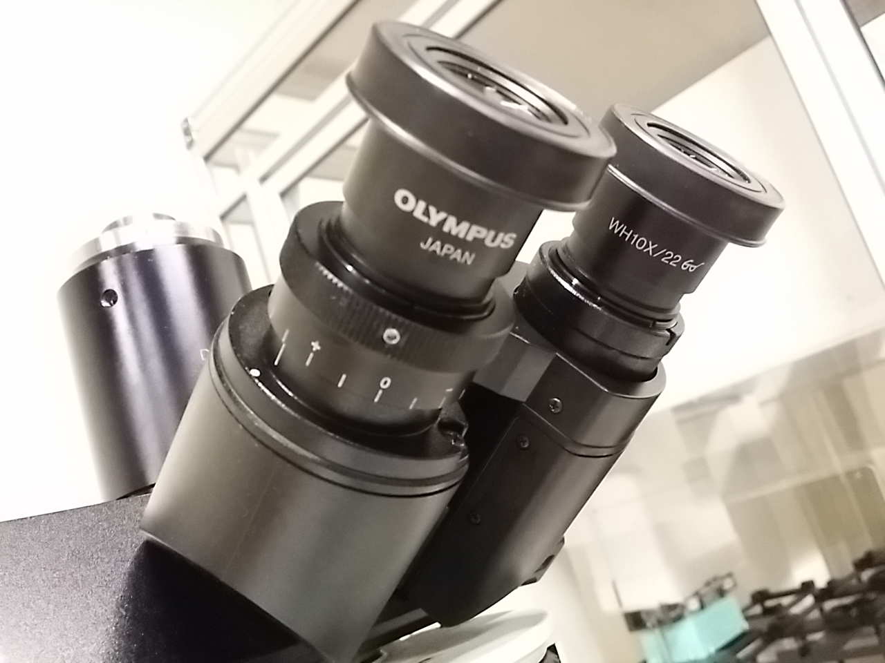 SOLD: Olympus PROVIS AX70 Motorized BF, Phase, Fluorescence, Polar and ...