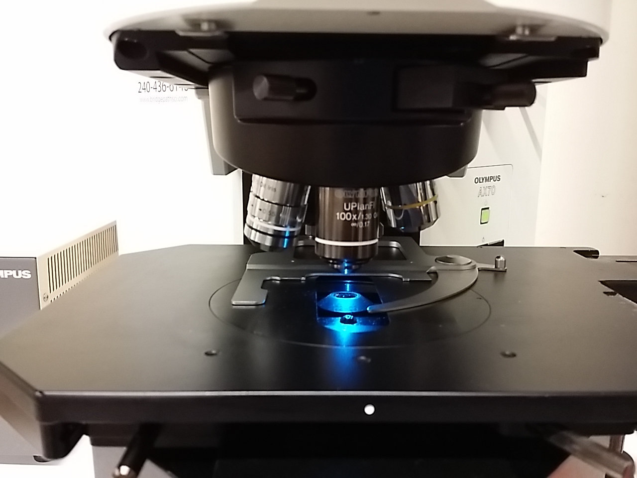SOLD: Olympus PROVIS AX70 Motorized BF, Phase, Fluorescence, Polar and ...