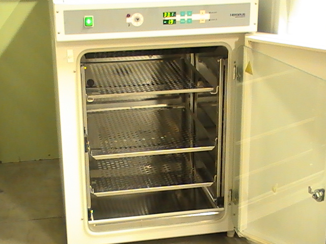 Heraeus BB16 Function Line CO2 Incubator - BridgePath Scientific