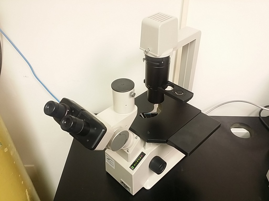 Nikon TMS/TMS-F Inverted Phase Contrast Microscope with Extended Stage ...