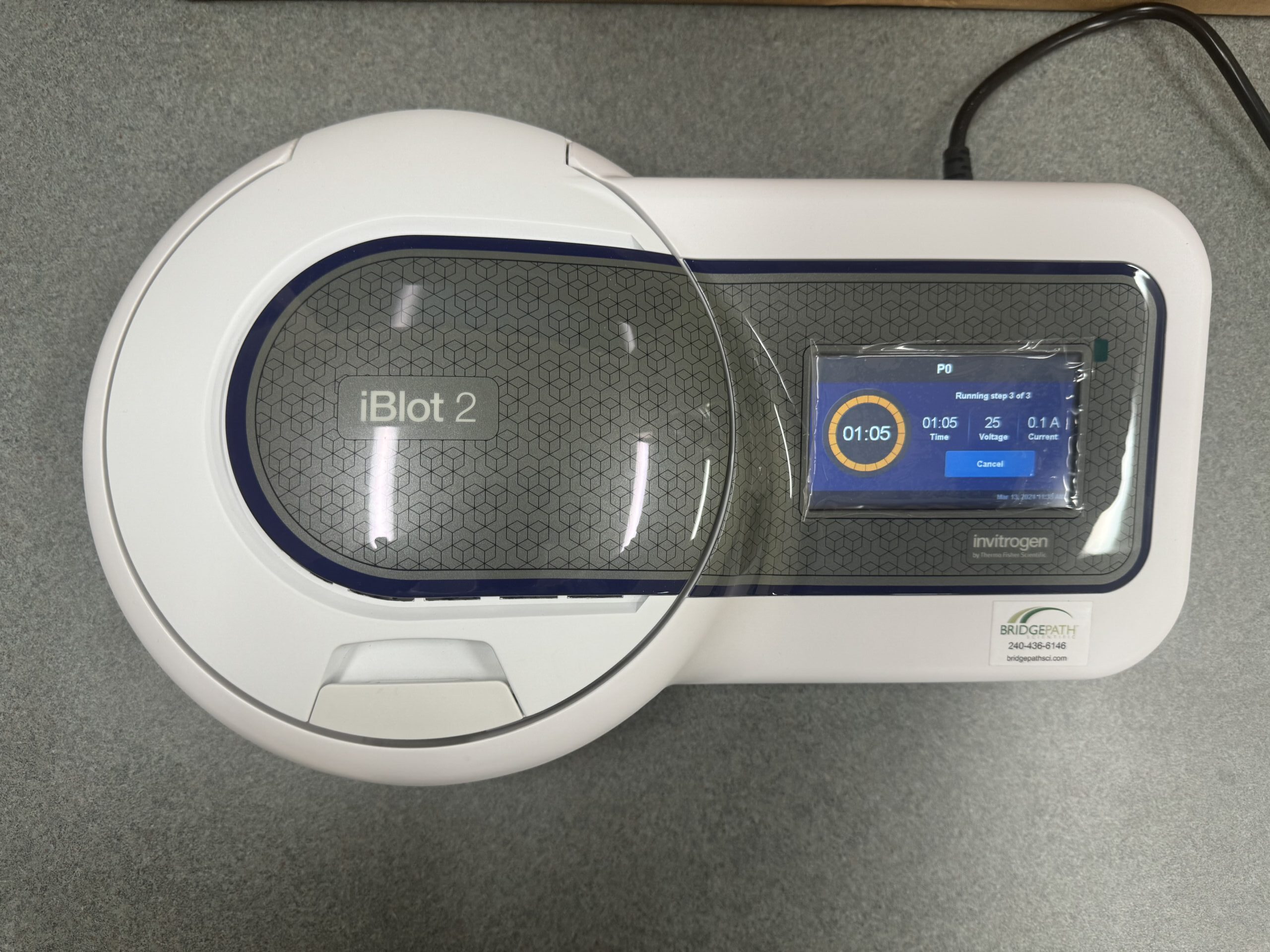 Thermo Scientific iBlot 2 Dry Blotting System - BridgePath Scientific